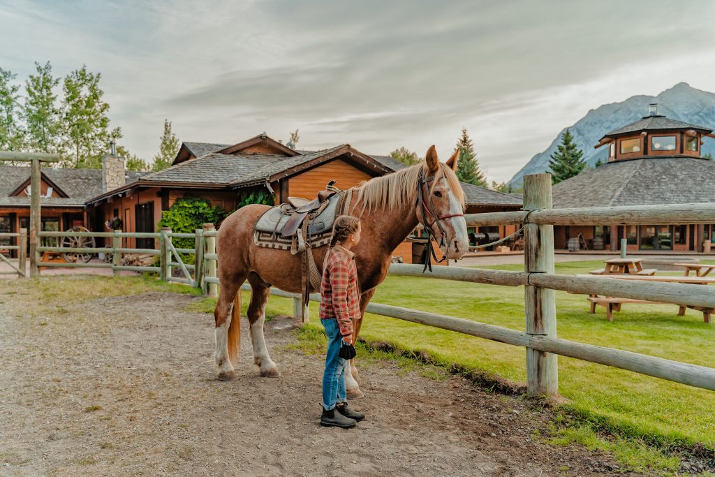 Boundary Ranch Photo Gallery | Photos from the Trail and the Ranch
