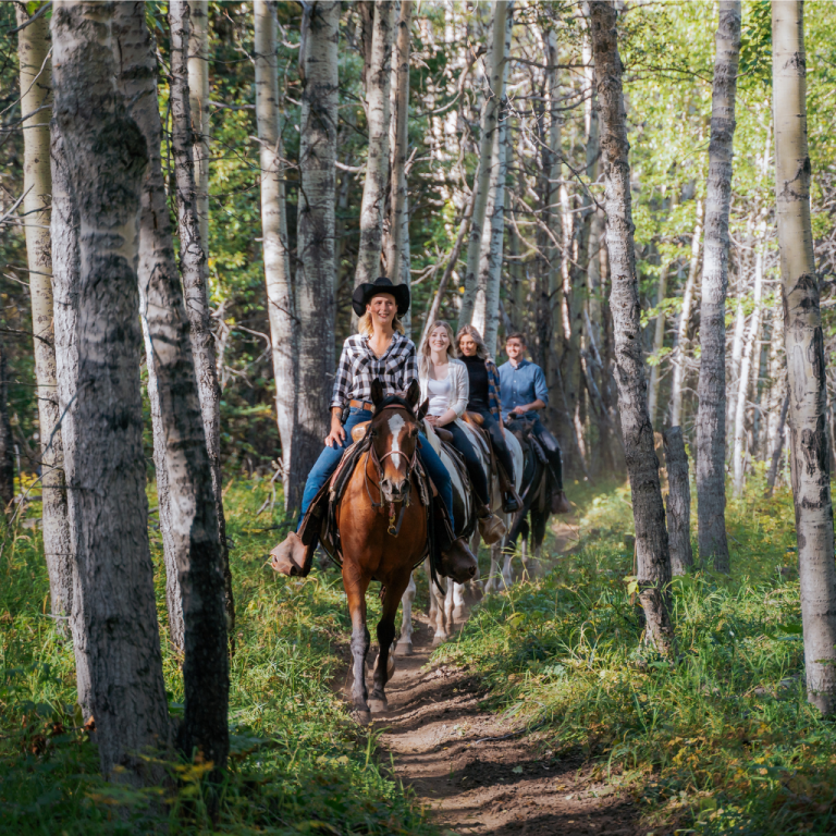 Valley Vista Trail - Boundary Ranch