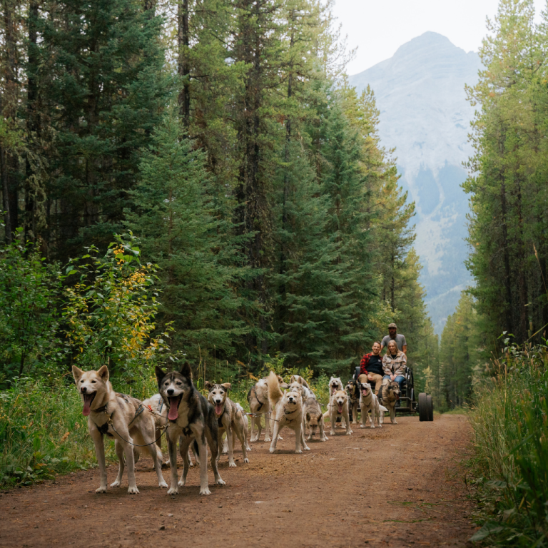Legendary in the Alberta Rockies| Canadian Rockies| Boundary Ranch
