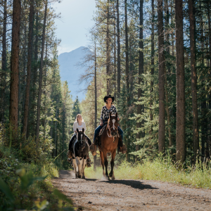 Contact Us Now| Reach Out| Boundary Ranch Alberta