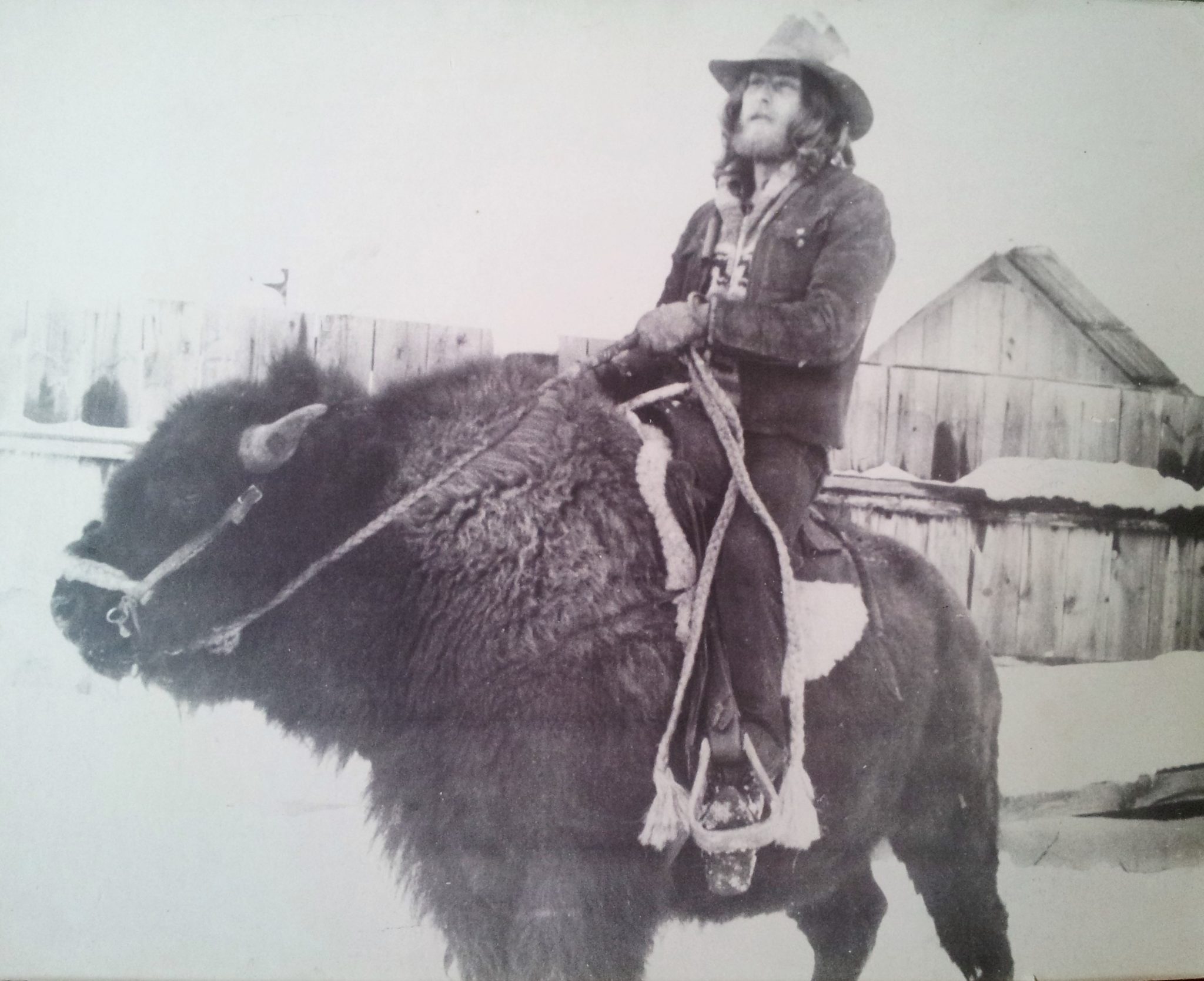 Home of the Guy on a Buffalo - Boundary Ranch